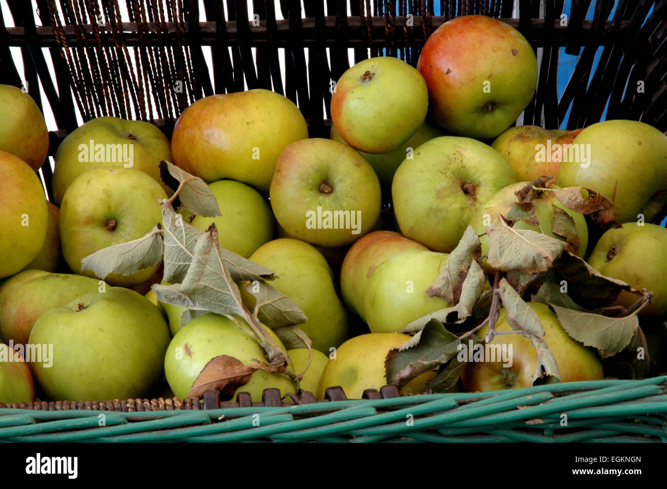 Bramley hi-res stock photography and images - Alamy