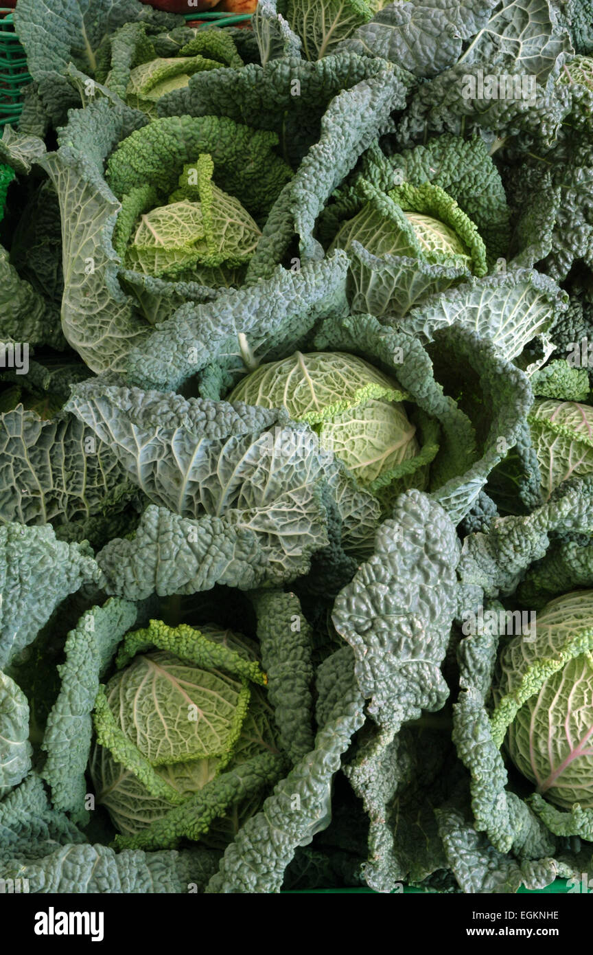Cabbages crop hi-res stock photography and images - Alamy