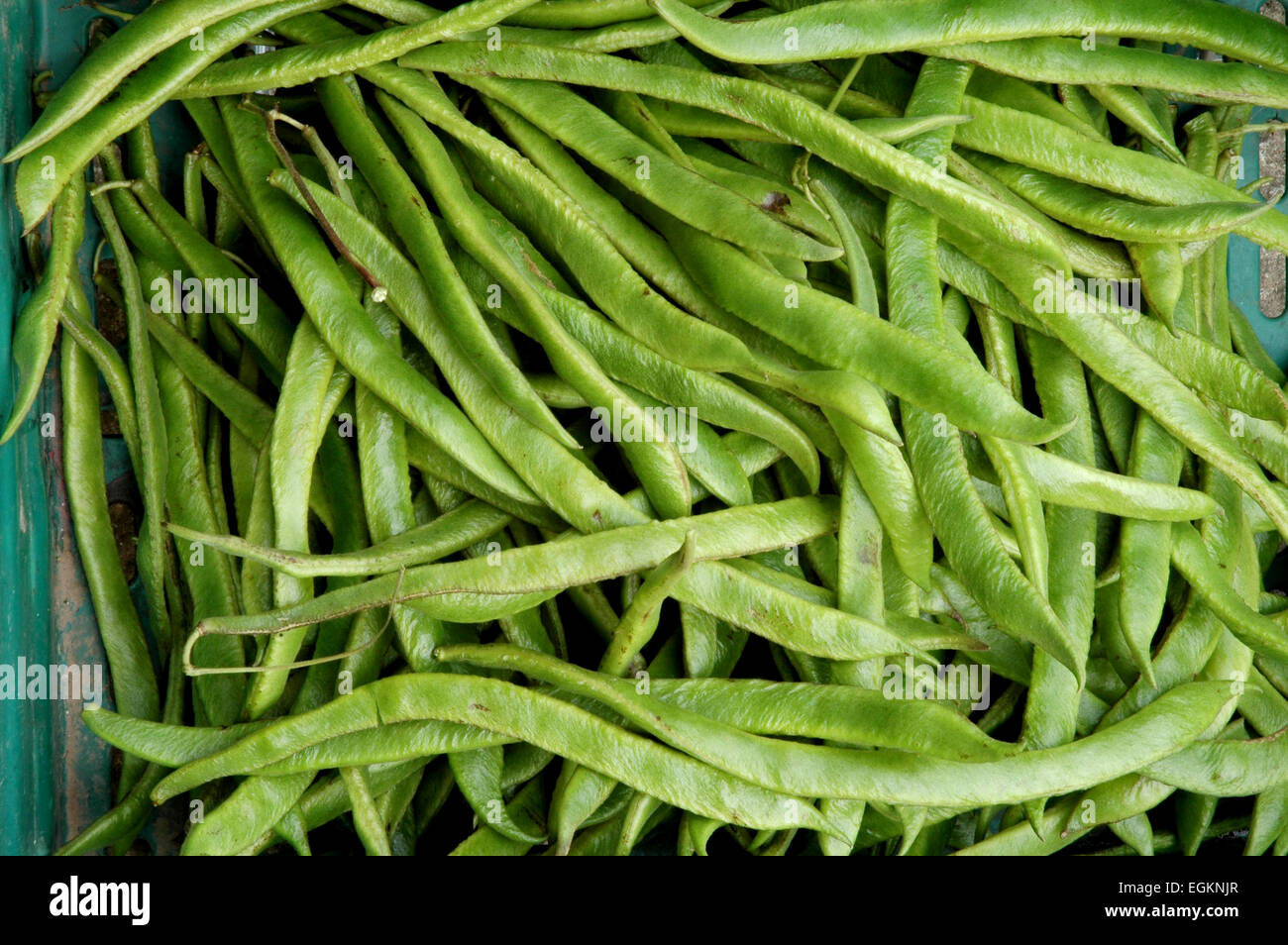 Runner beans hi-res stock photography and images - Alamy