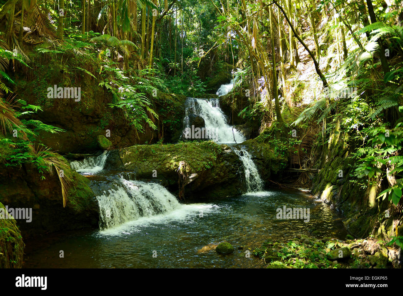 Onomea Waterfalls in Hawaii Tropical Botanical Garden on Onomea Bay ...