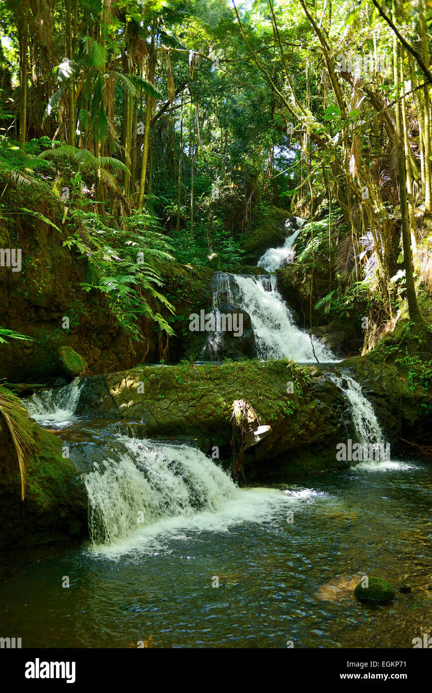 Onomea Waterfalls in Hawaii Tropical Botanical Garden on Onomea Bay ...