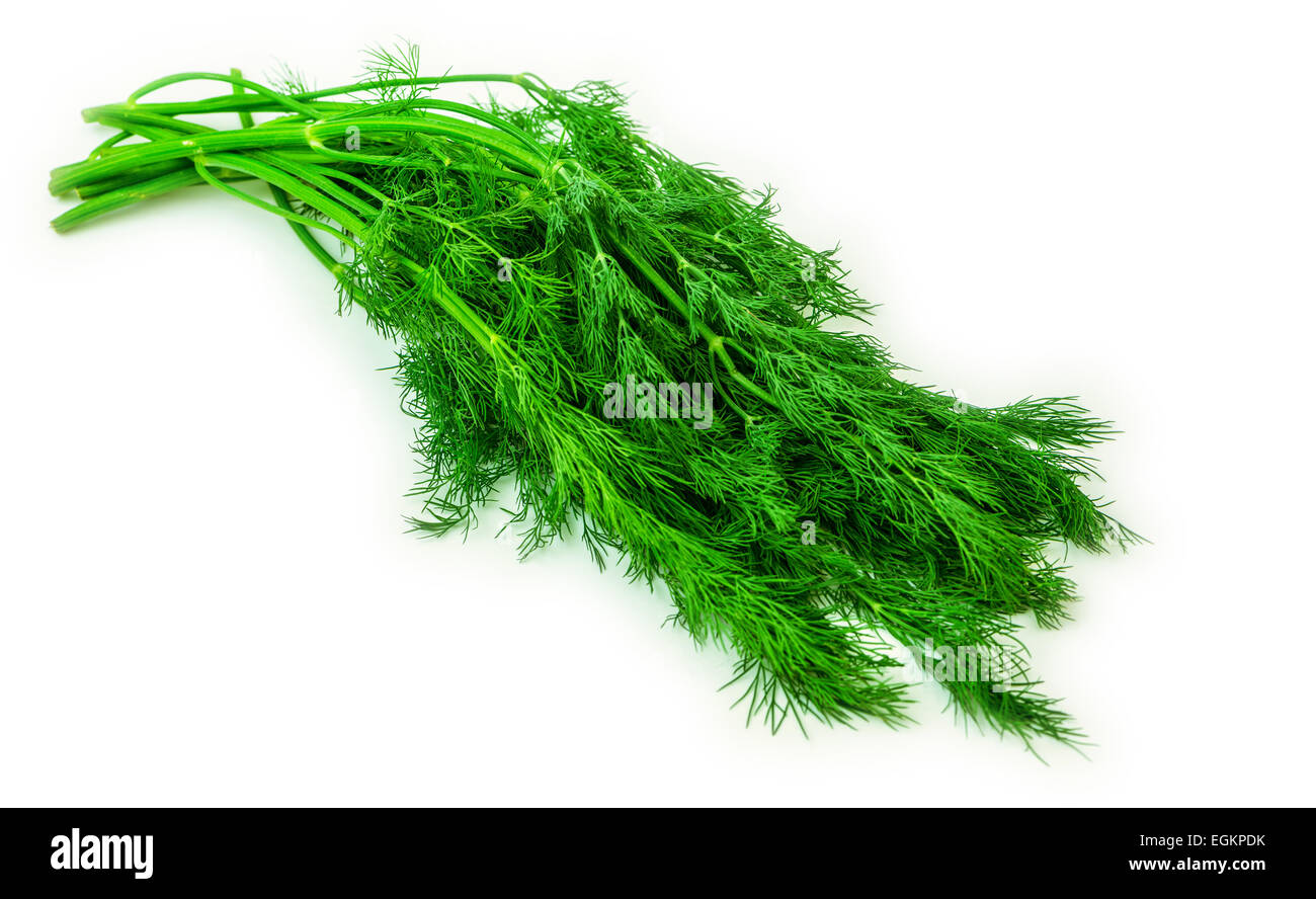 Products horticulture Cut Out Stock Images & Pictures - Alamy