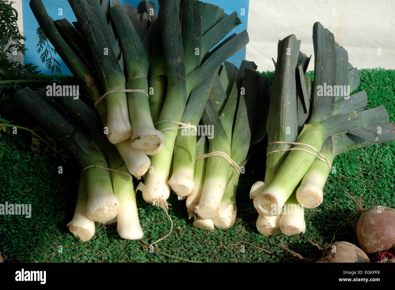 Leeks Wales High Resolution Stock Photography and Images - Alamy