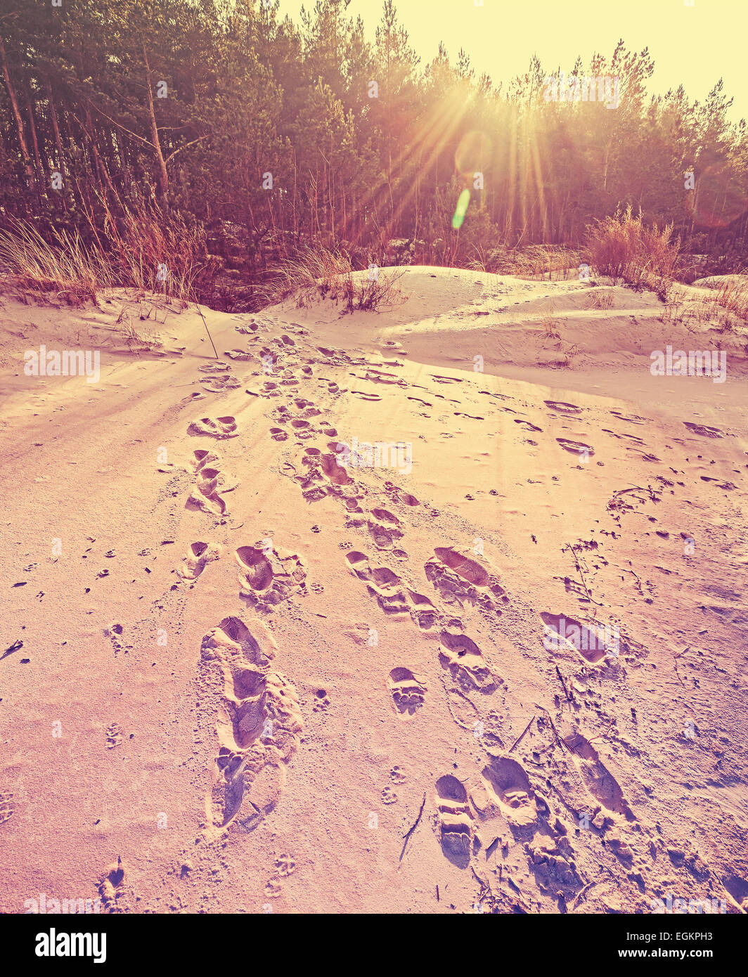 Footprints on sand, retro stylized nature background with flare effect ...