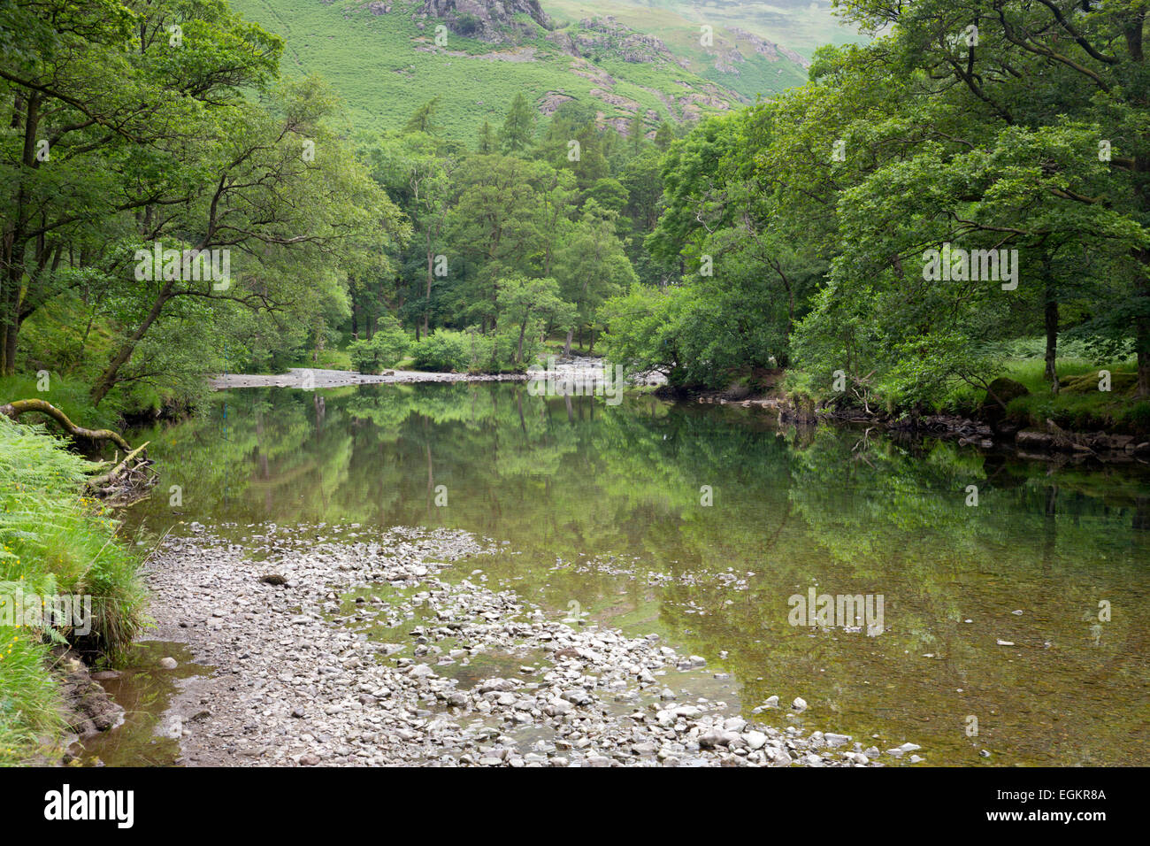 River Derwent Cumbria High Resolution Stock Photography and Images - Alamy
