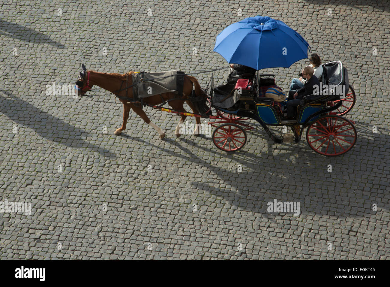 Roman horse carriage hi-res stock photography and images - Alamy