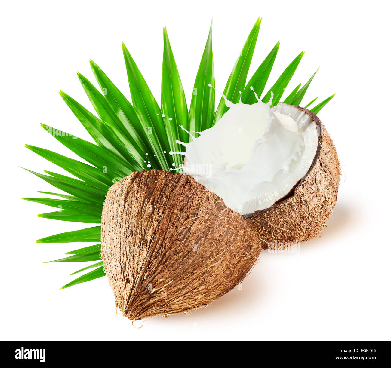 Coconuts with milk splash and leaf isolated on white background Stock ...