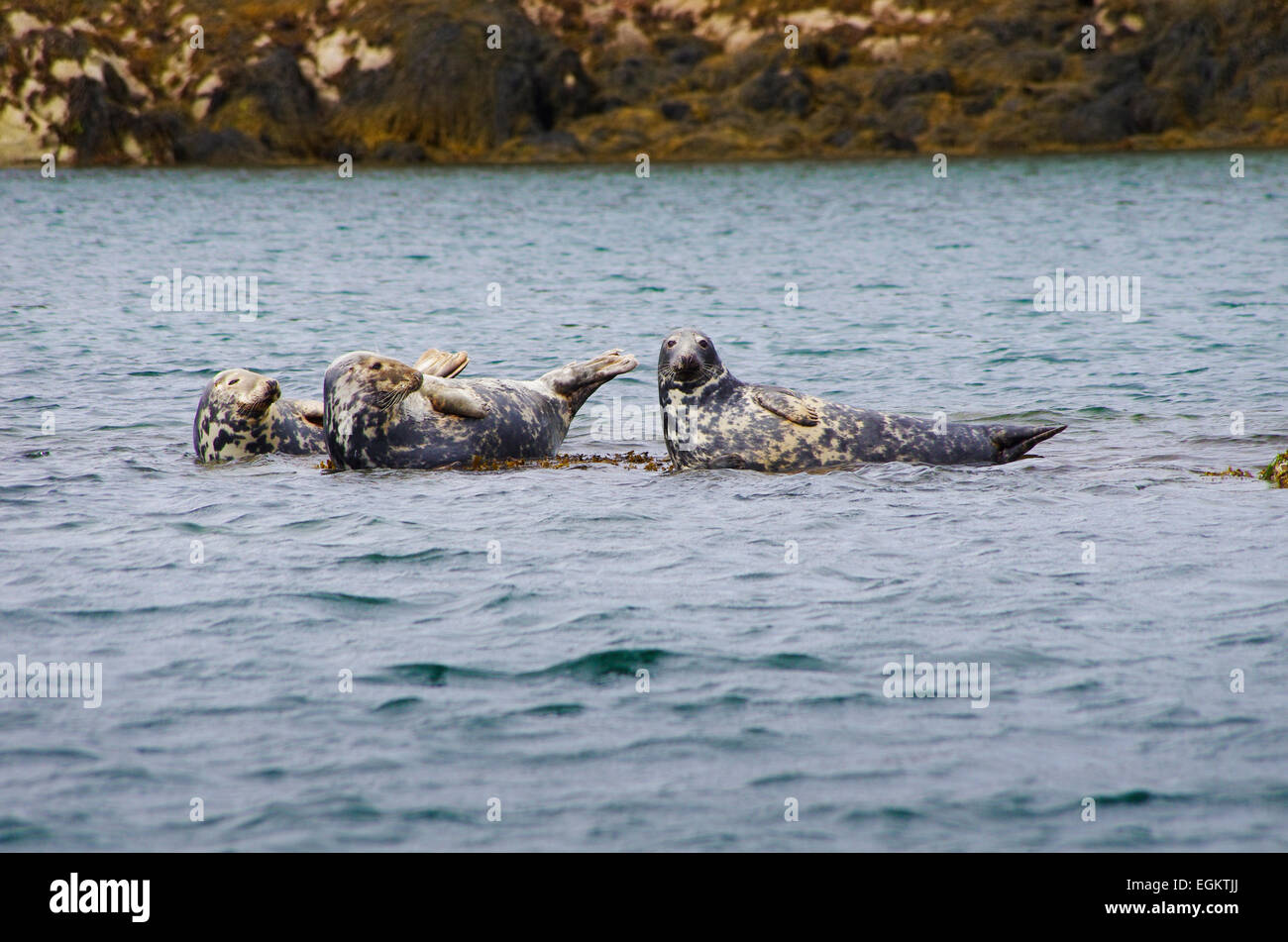 Line of three rocks hi-res stock photography and images - Alamy
