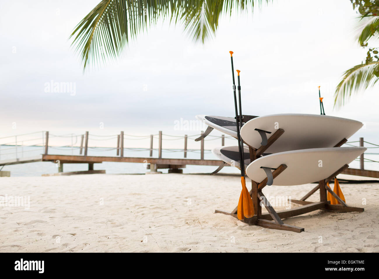 surfboards on tropical beach Stock Photo - Alamy