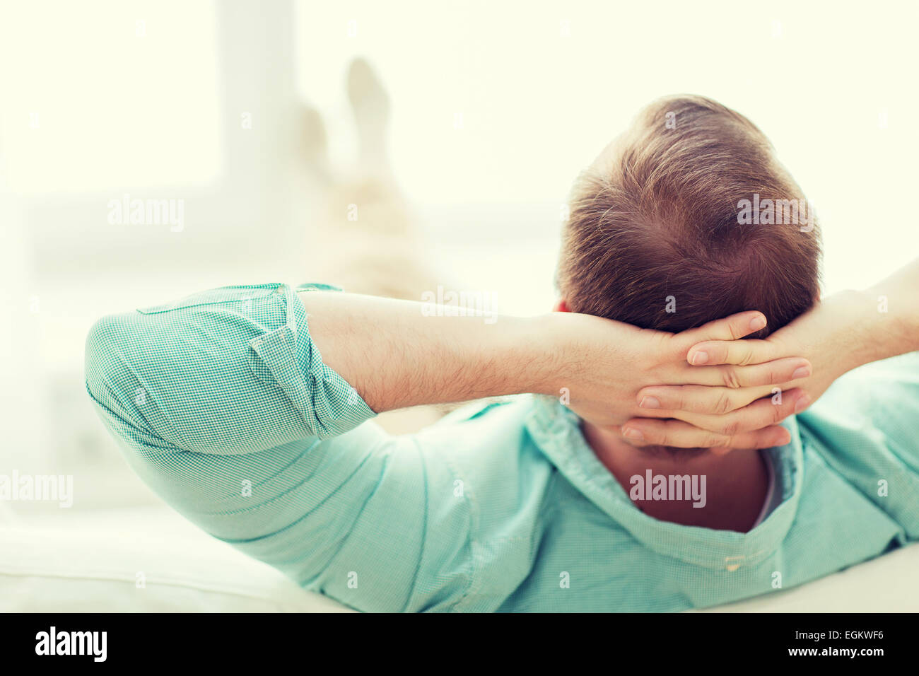 man lying or sitting on sofa at home from back Stock Photo - Alamy
