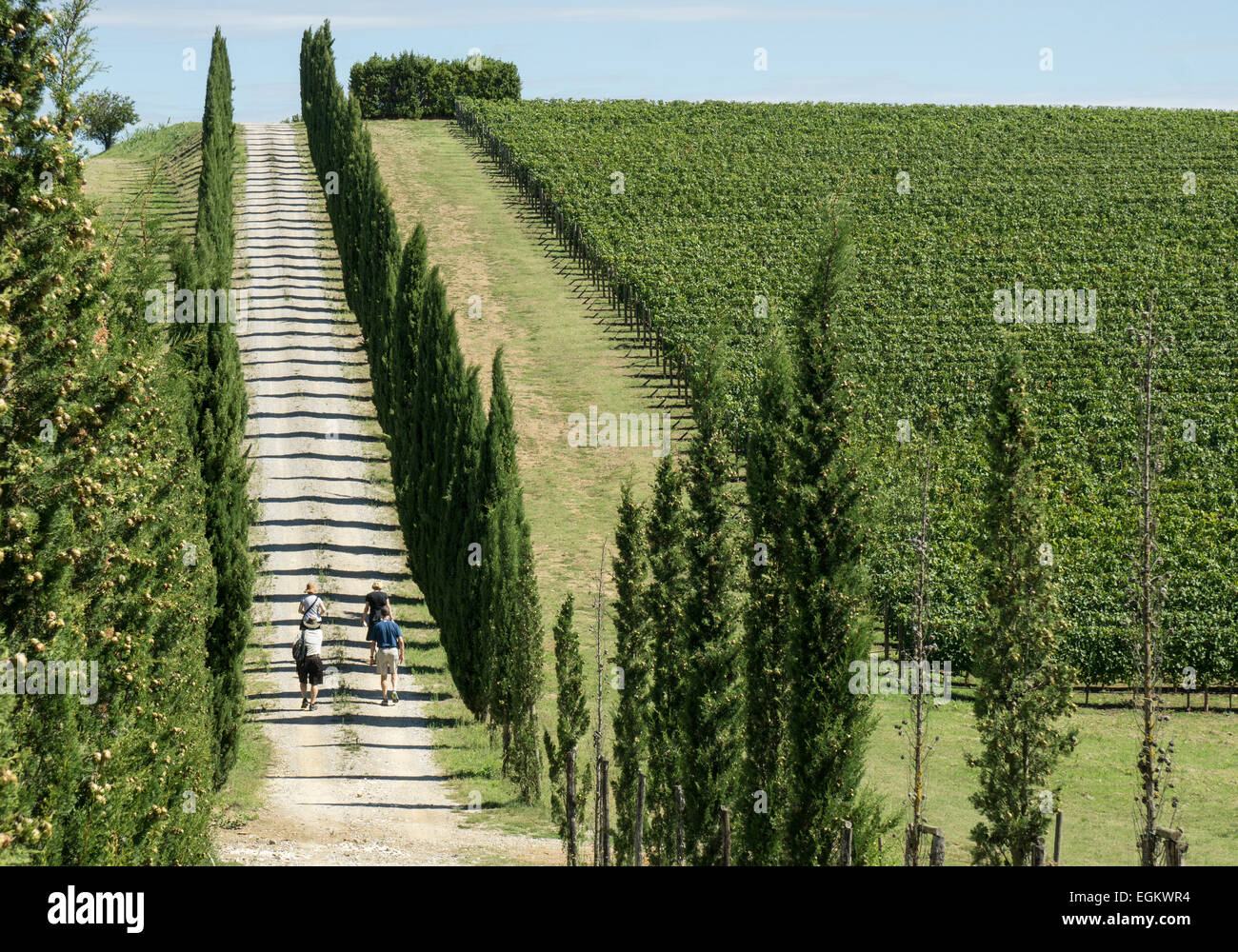 Hiking through vineyard hi-res stock photography and images - Alamy