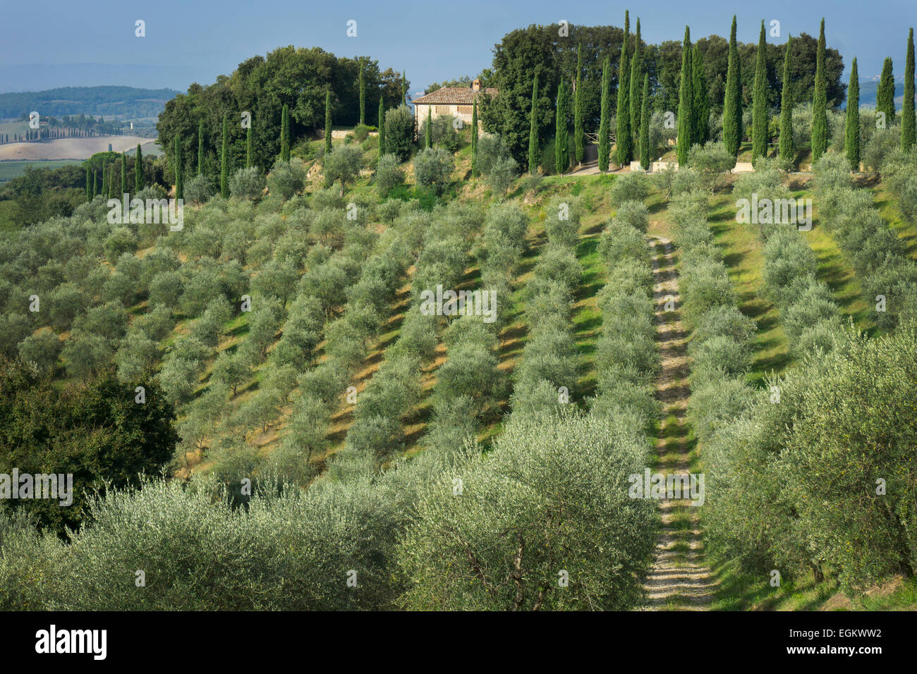 Tuscan countryside landscape, Tuscany, Italy Stock Photo - Alamy