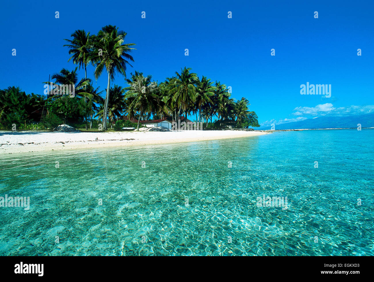 moorea french polynesia Stock Photo - Alamy