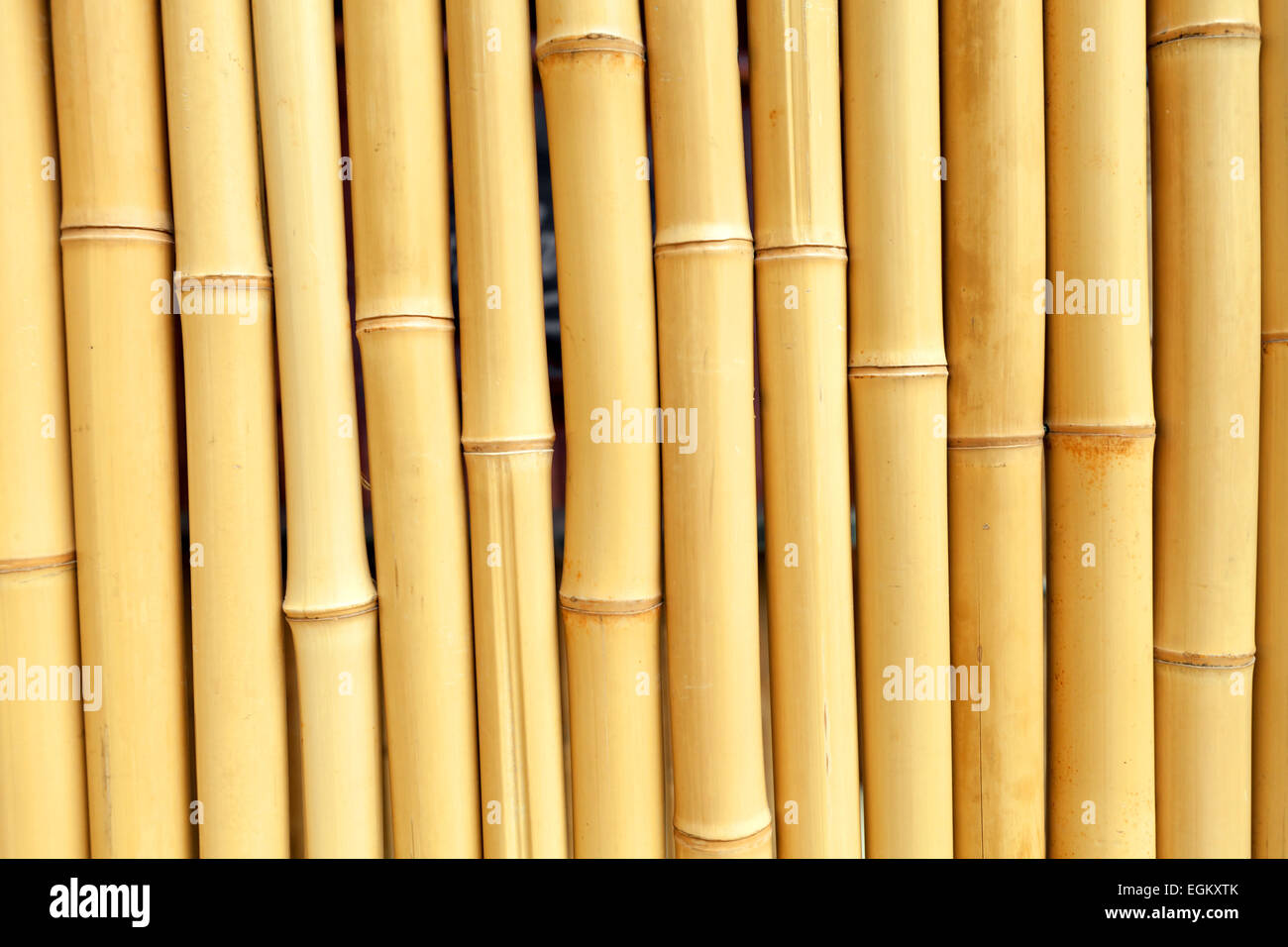 Real Bamboo Background Texture Stock Photo - Alamy