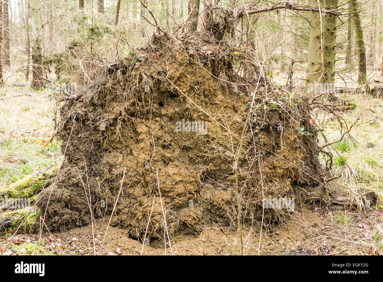 Unfasten hi-res stock photography and images - Alamy
