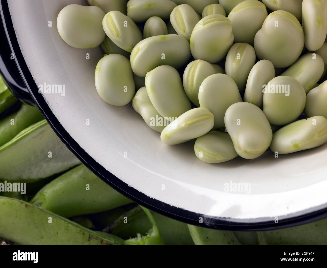 Food crop vegetable home grown garden bean broad beans hi-res stock ...