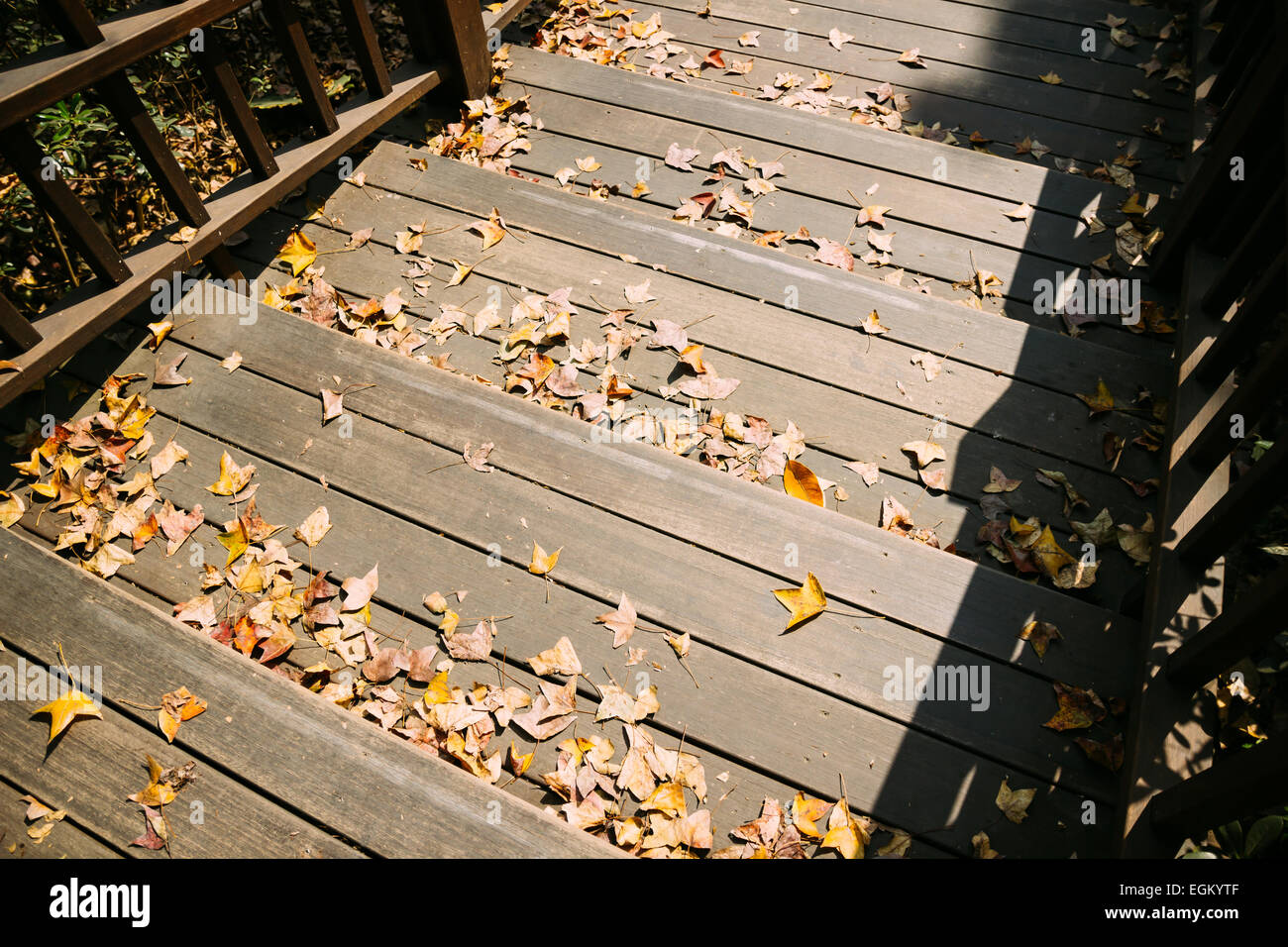 Wooden steps hi-res stock photography and images - Alamy
