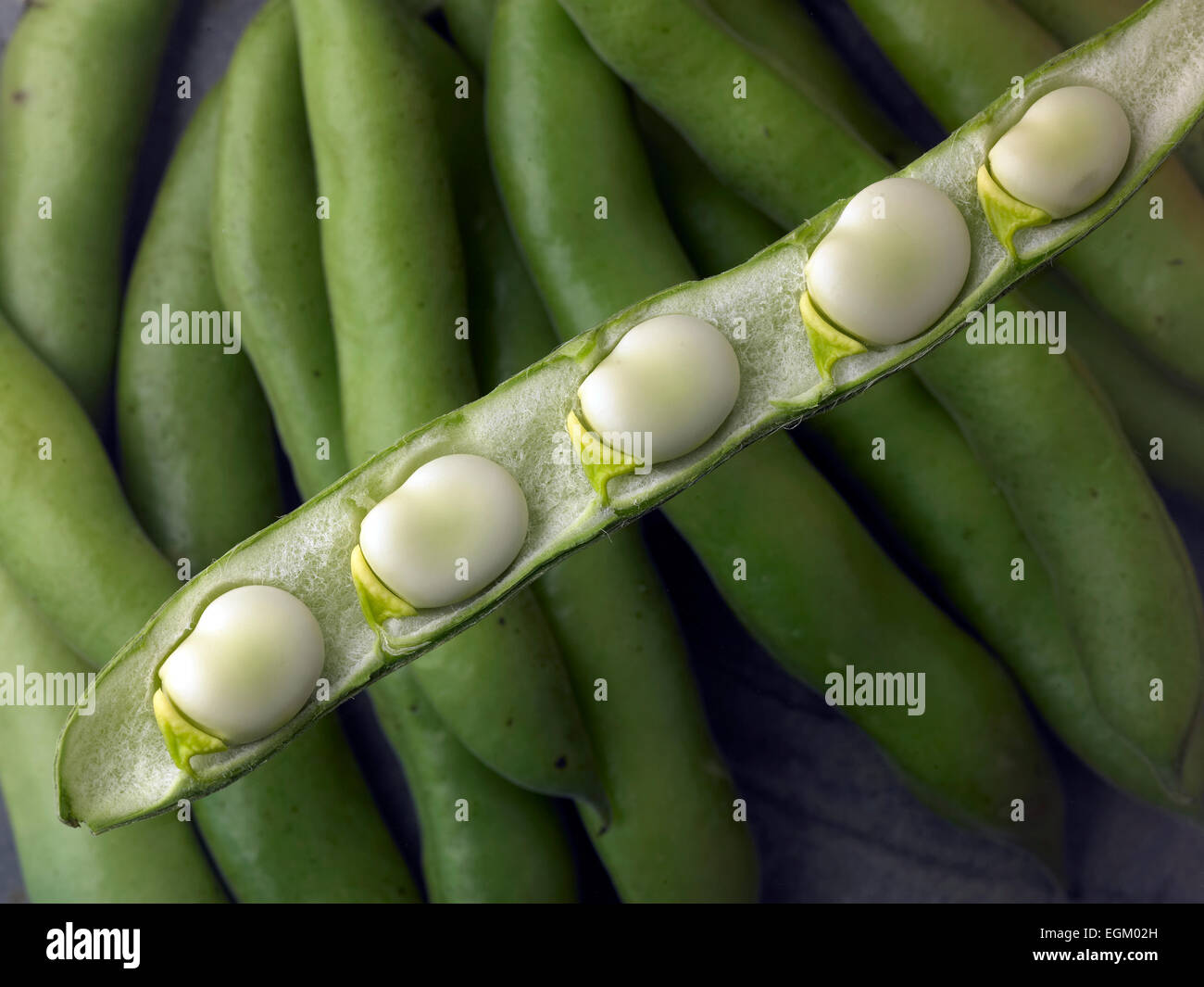 Prepatation hi-res stock photography and images - Alamy