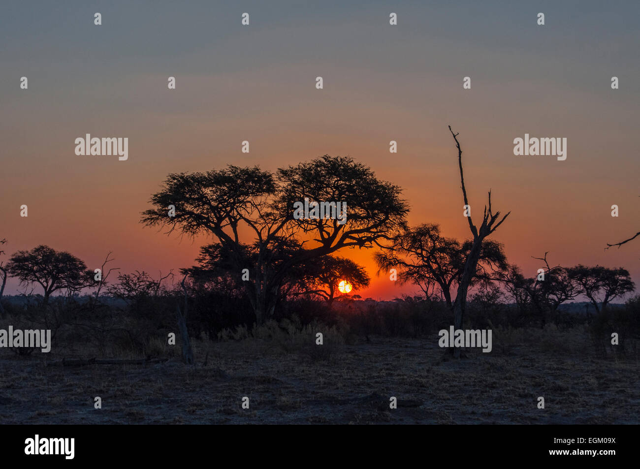 Safari africa sunset hi-res stock photography and images - Alamy