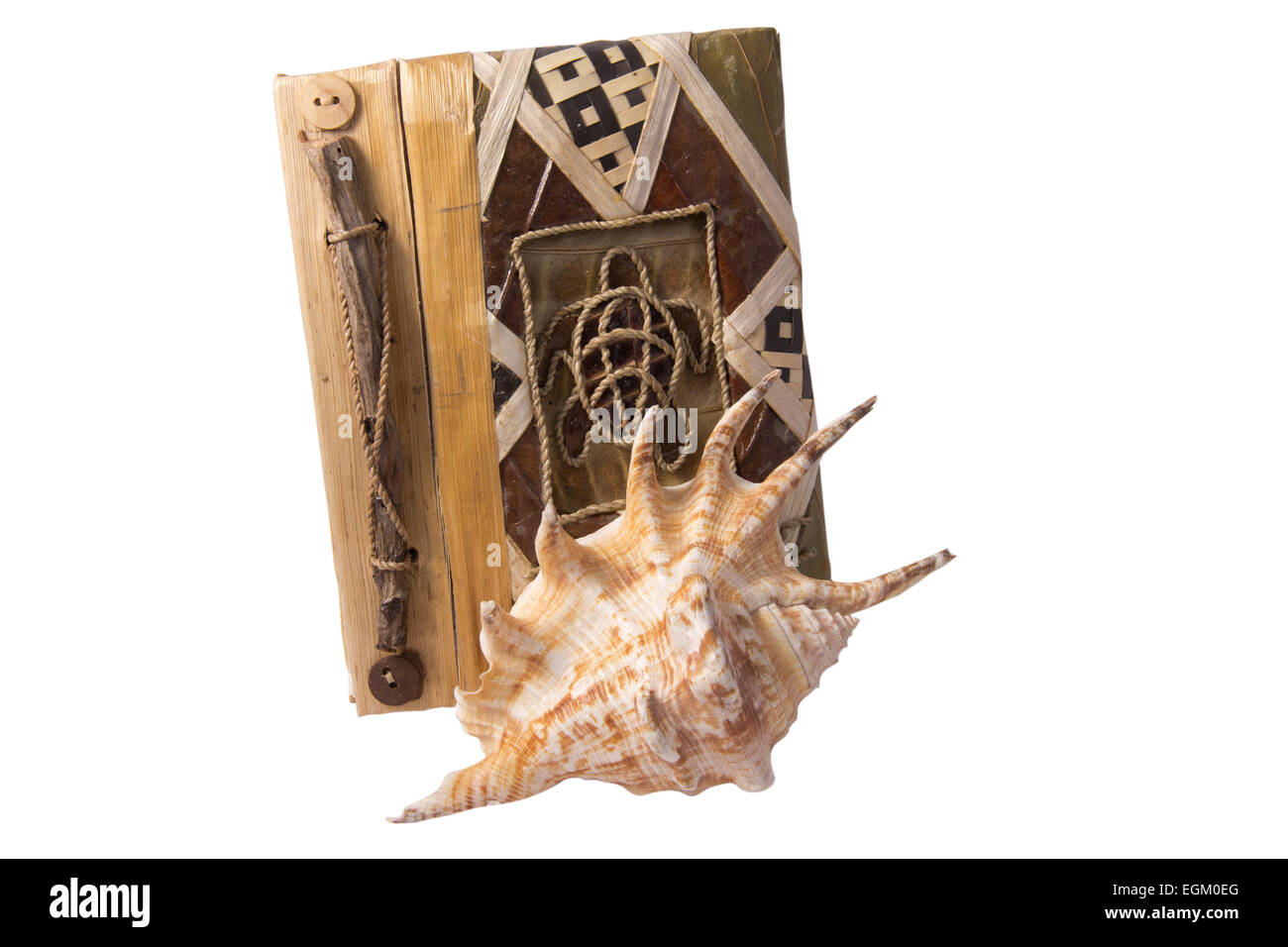 notebook and seashell Stock Photo - Alamy