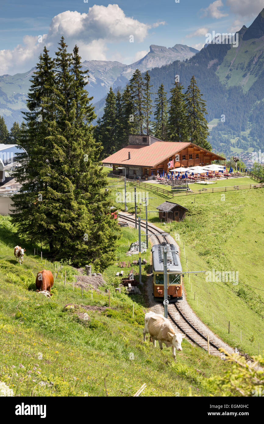 Murren switzerland train hi-res stock photography and images - Alamy