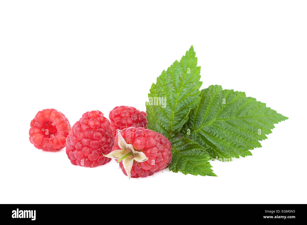 Image raspberry hi-res stock photography and images - Alamy