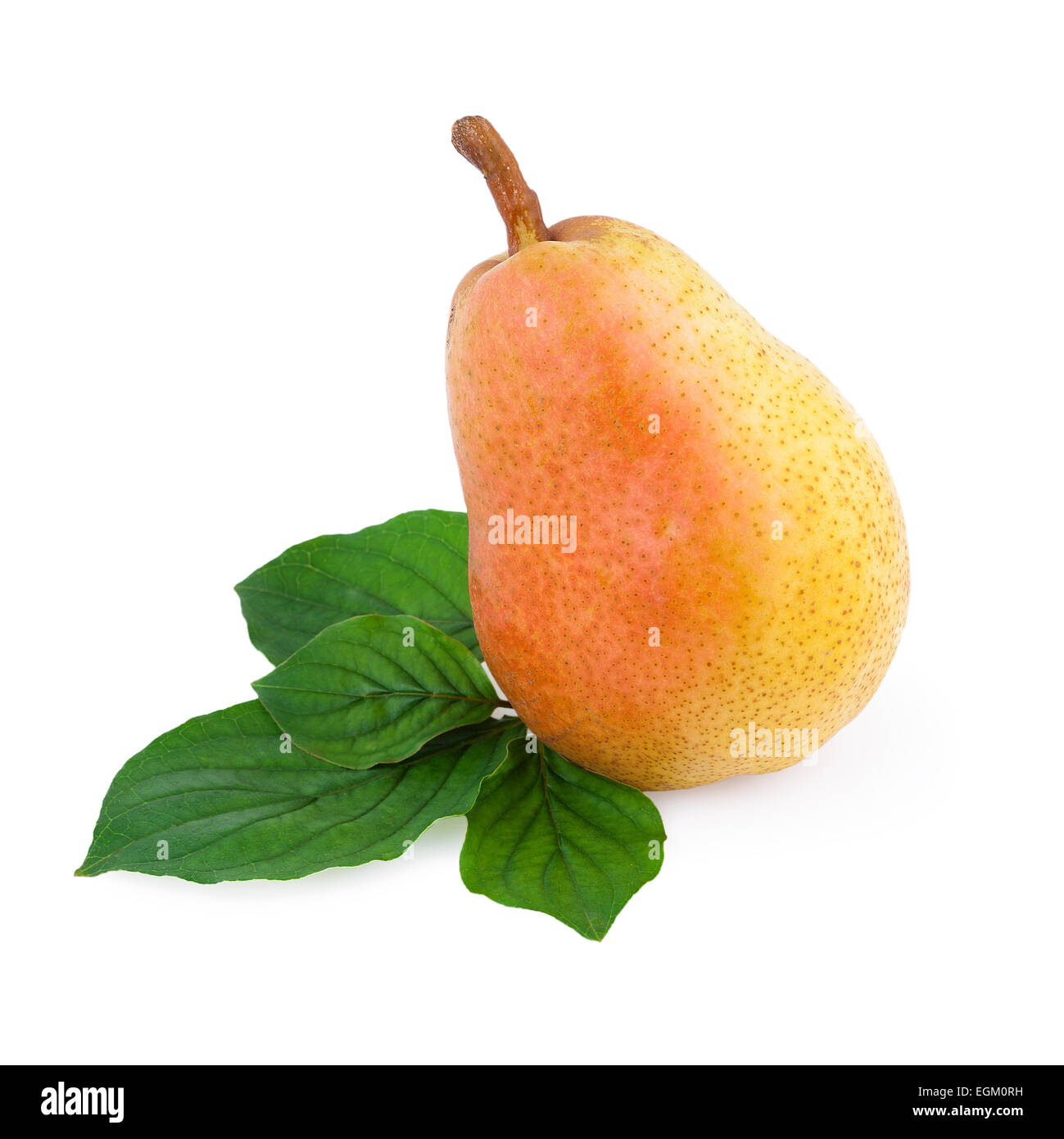pear fruit with leaves Stock Photo - Alamy