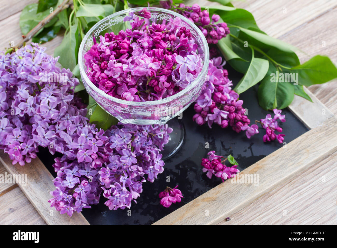 Lilac in vase Stock Photo - Alamy