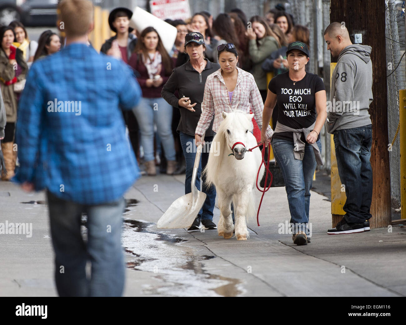 Hollywood, California, USA. 20th Nov, 2014. A pony and a pig made an ...