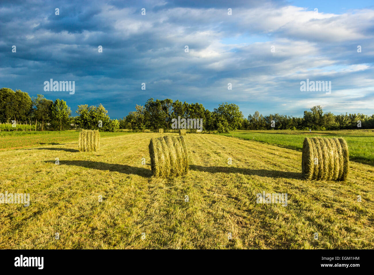 Hay bale ball hi-res stock photography and images - Alamy
