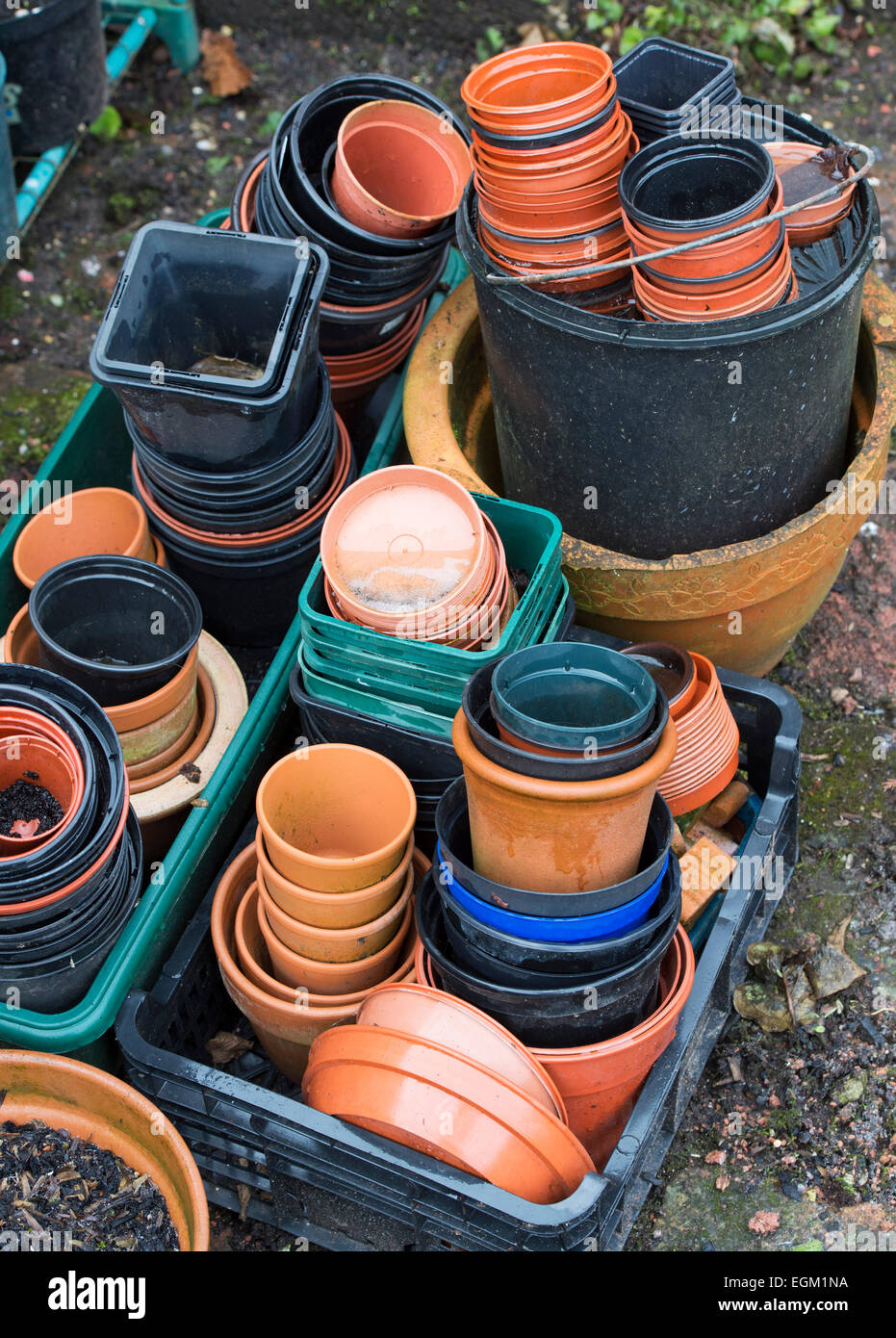 Assorted flower pots in a garden. UK Stock Photo - Alamy