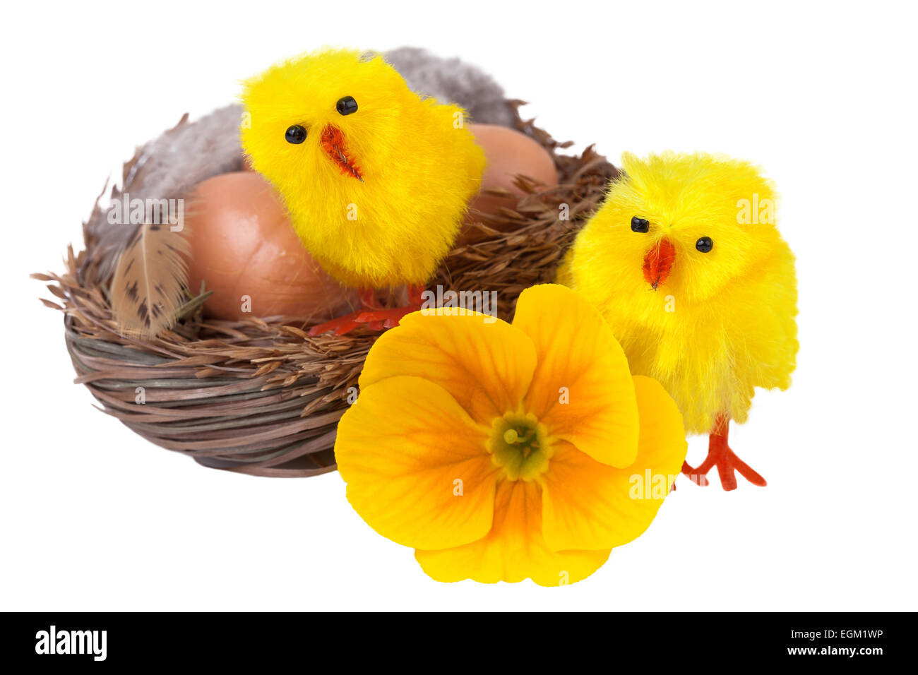 On nest with chicks Cut Out Stock Images & Pictures - Alamy