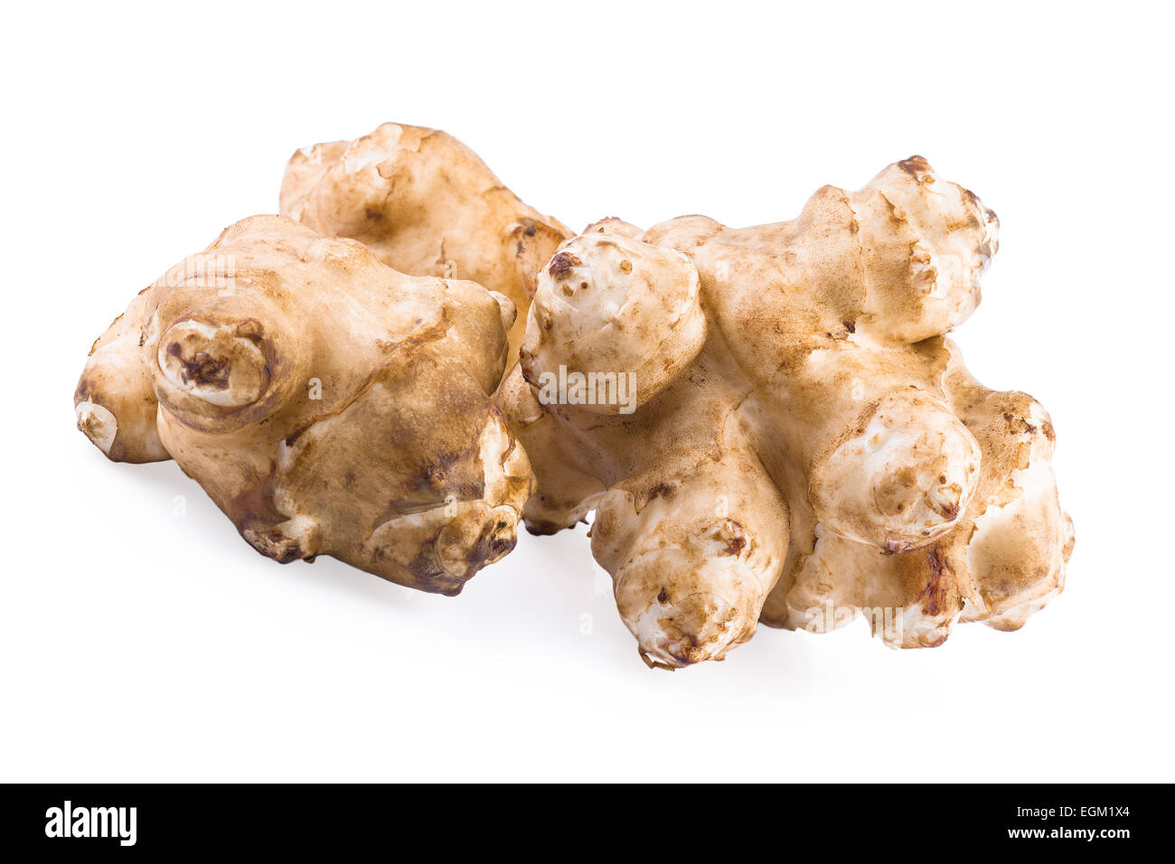 Jerusalem artichoke sunroot tuber (Helianthus tuberosus Stock Photo - Alamy