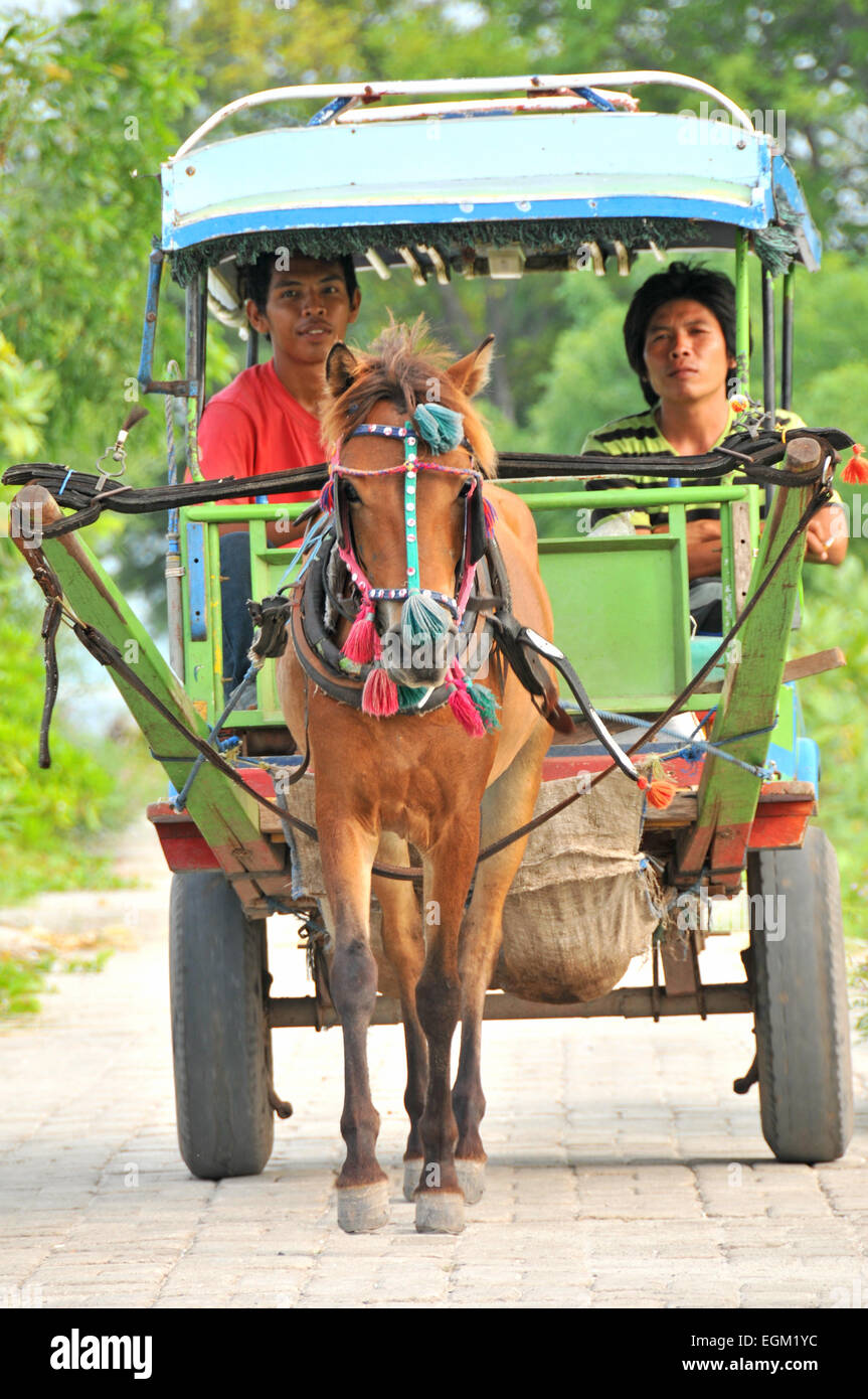 Two men in a Cidomo Stock Photo - Alamy
