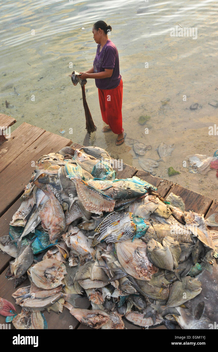 Cleaning gutting fish Stock Photo - Alamy
