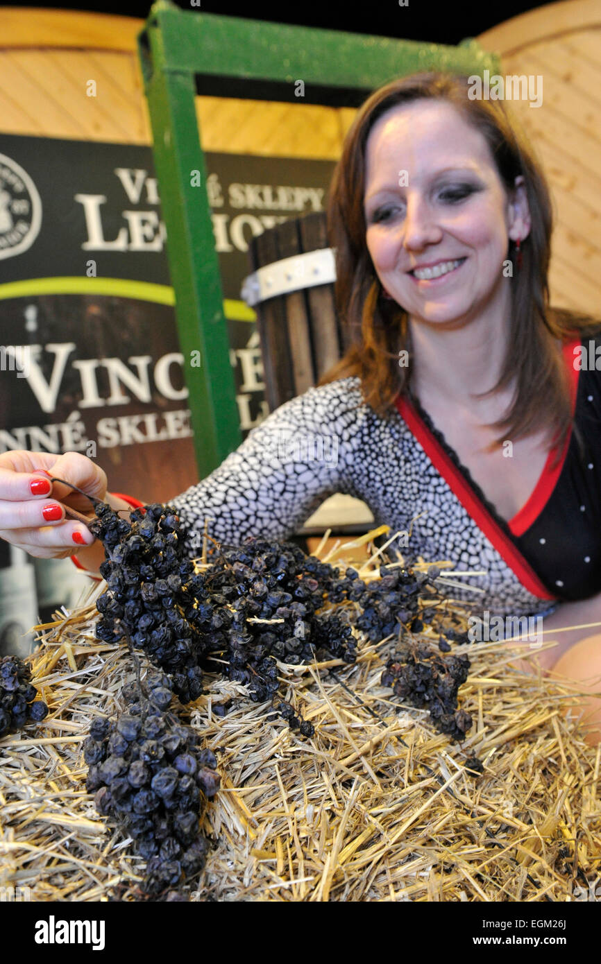 Manager of Lechovice Winery Lucie Kalasova starts the process of straw ...