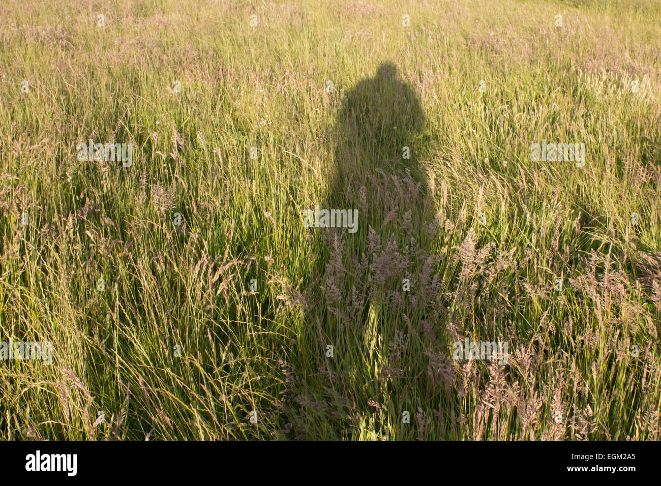 Shadow self portrait in landscape hi-res stock photography and images ...
