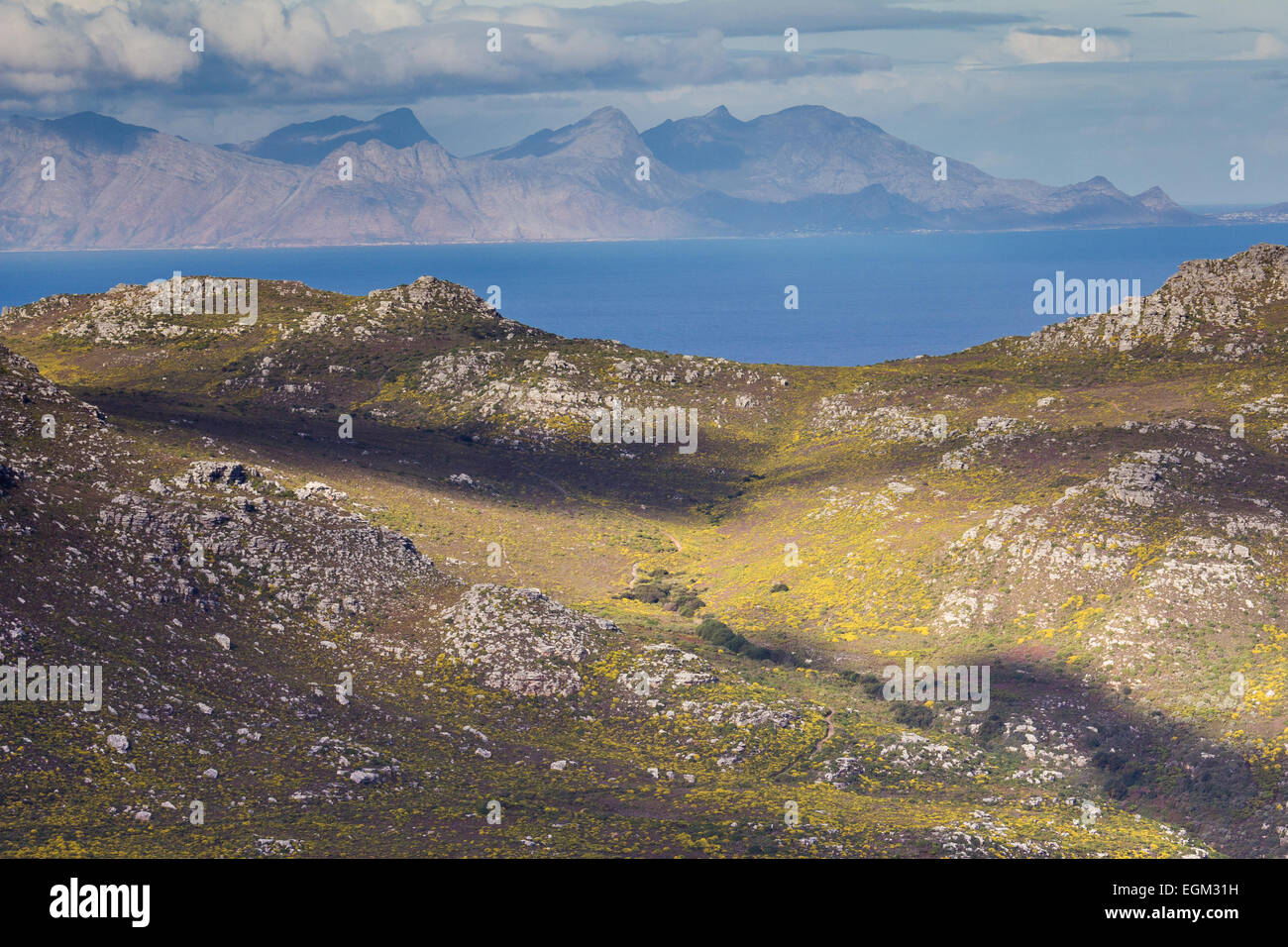 Silvermine nature reserve hi-res stock photography and images - Alamy