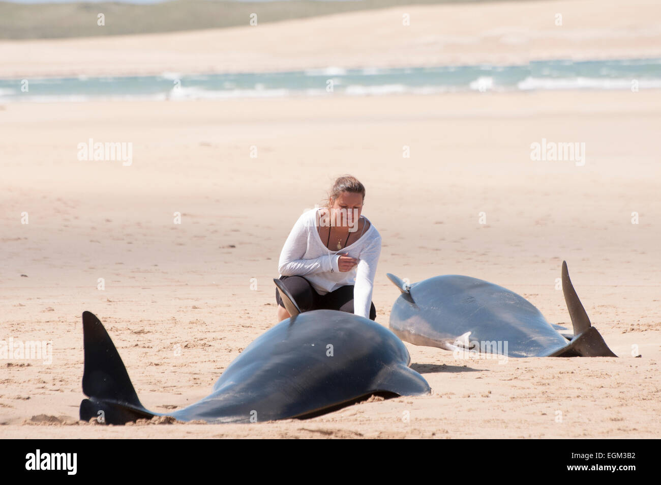 Falcarragh Strand, Donegal, Ireland. 8 Jul 2014 - A young lady cries ...