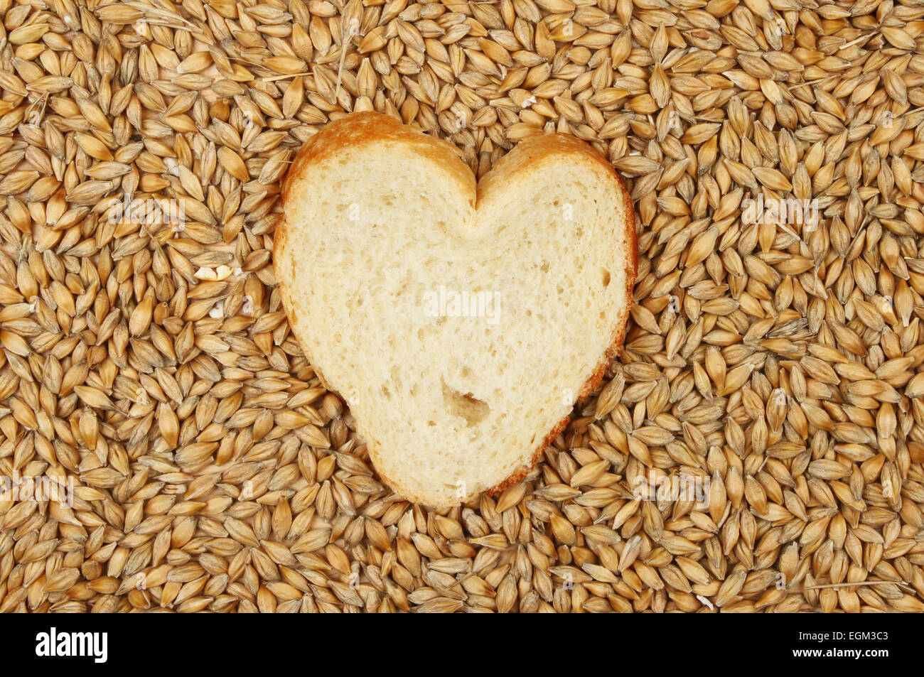 Barley grain heart hi-res stock photography and images - Alamy