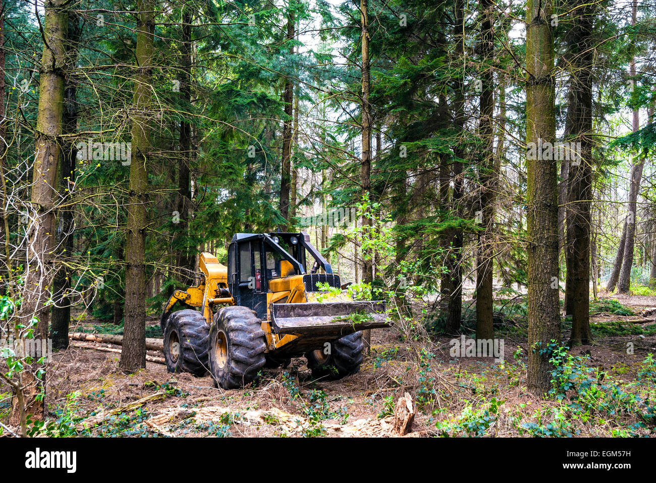 Skidder High Resolution Stock Photography and Images - Alamy