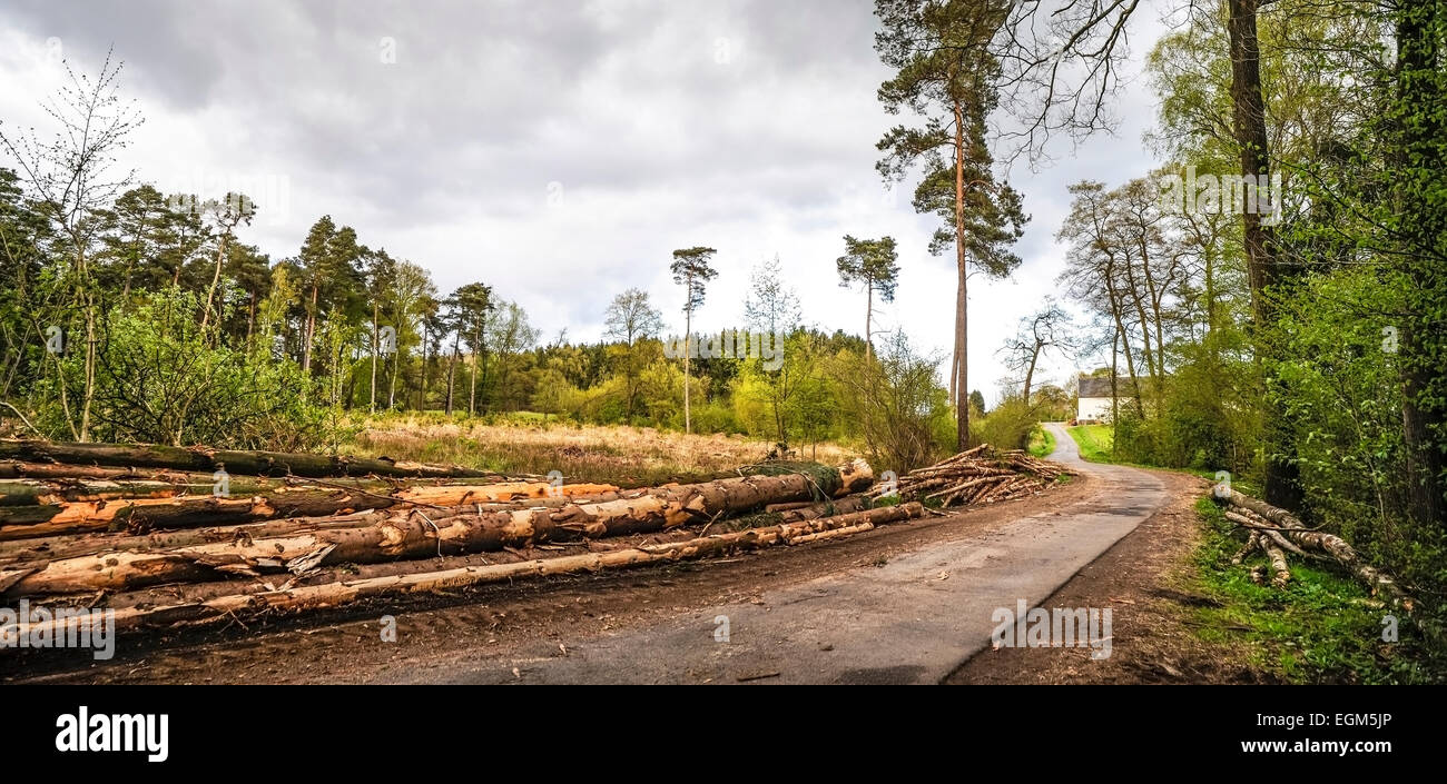 Logging path hi-res stock photography and images - Alamy