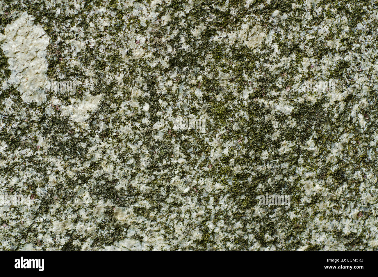 Granite texture with MOSS Stock Photo - Alamy