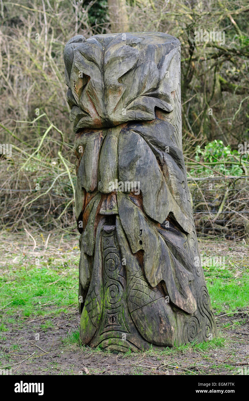 Oak tree face hi-res stock photography and images - Alamy