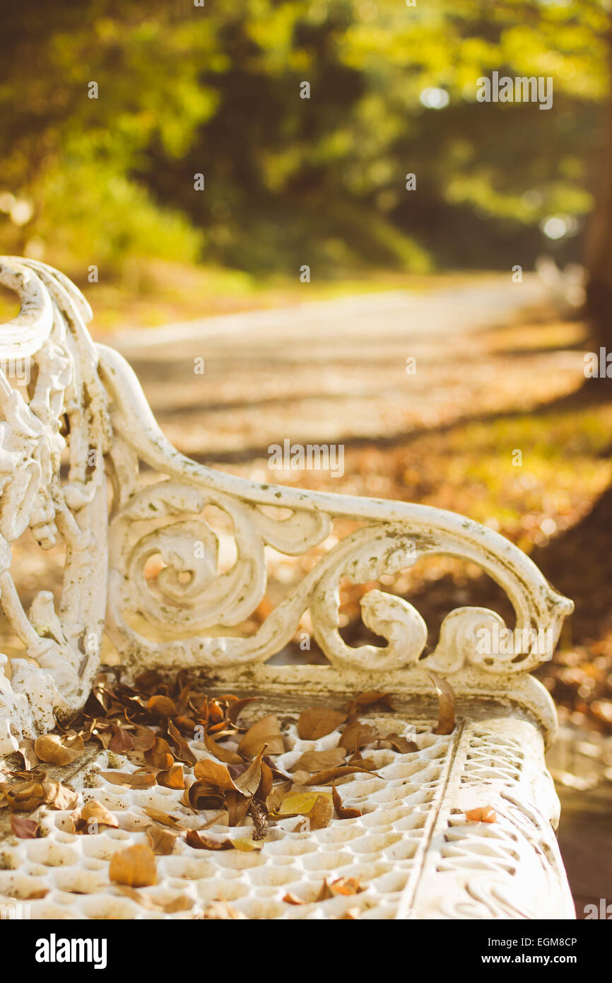 autumn leaves park bench Stock Photo - Alamy