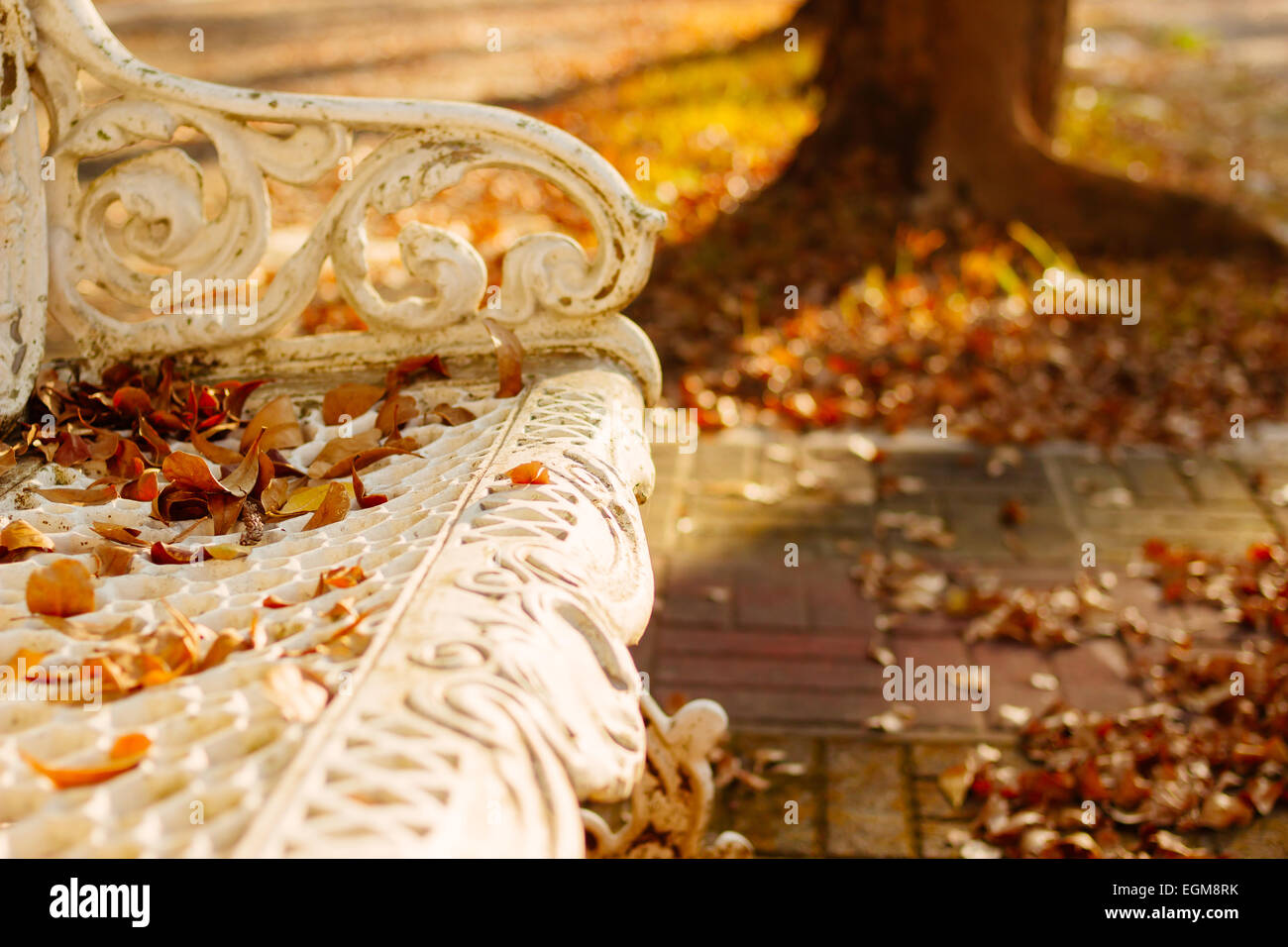 autumn leaves park bench Stock Photo - Alamy