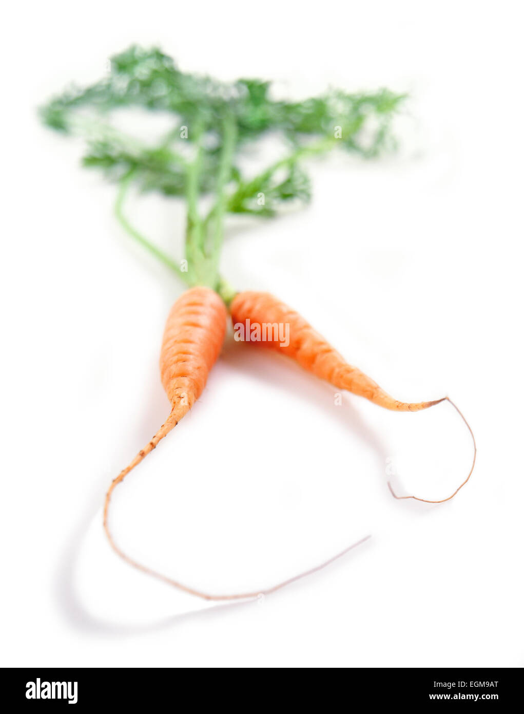 Carrots with stems hi-res stock photography and images - Alamy