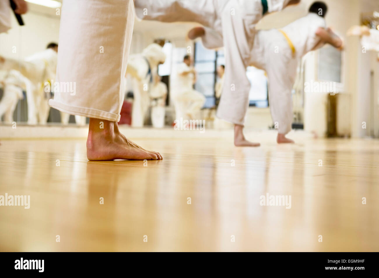 Class dojo hi-res stock photography and images - Alamy