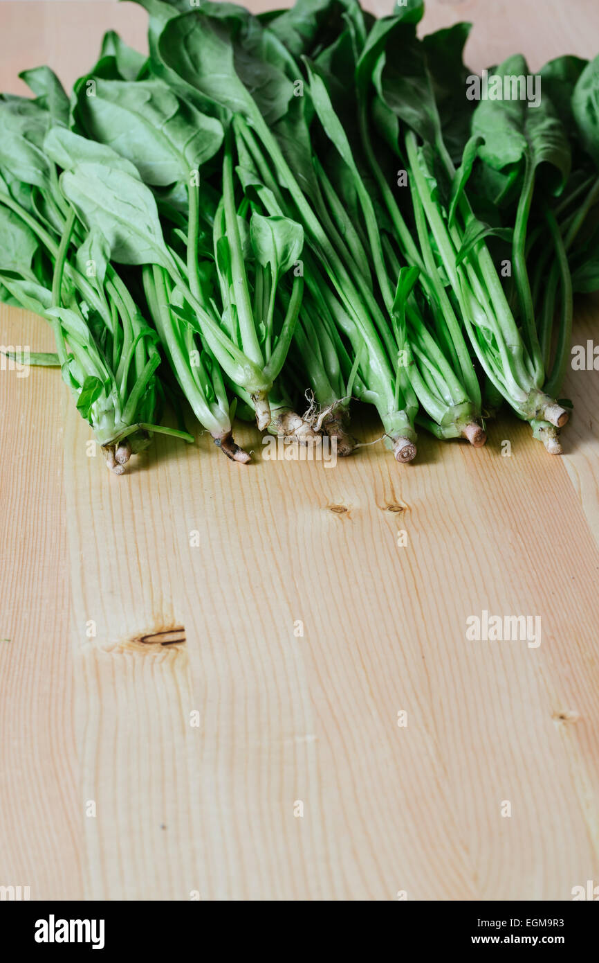 Spinach root hi-res stock photography and images - Alamy