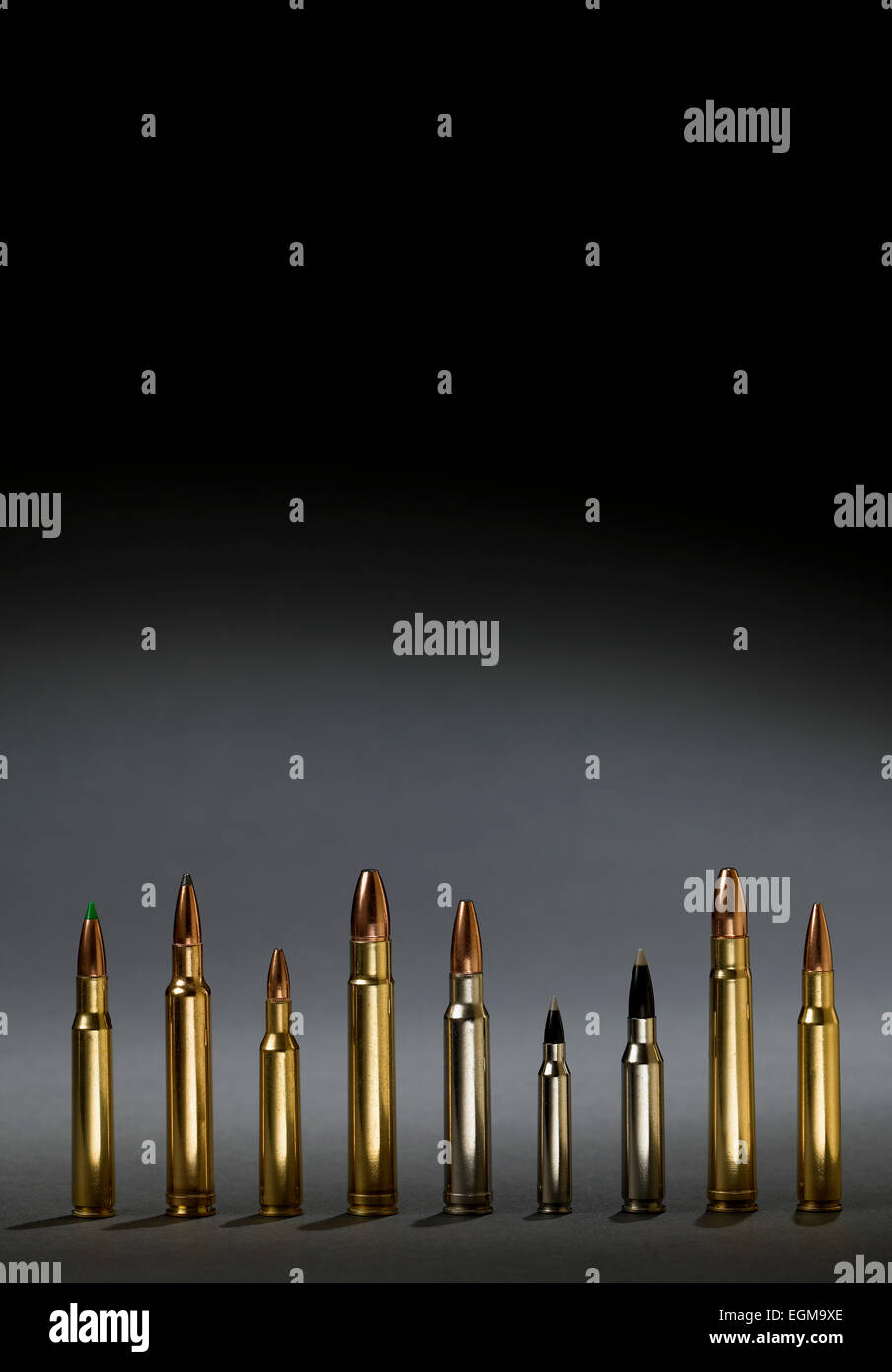 Row of Rifle Bullets Stock Photo - Alamy